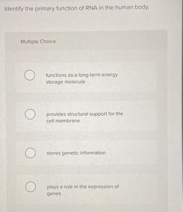 Identify the primary function of RNA in the human | Chegg.com