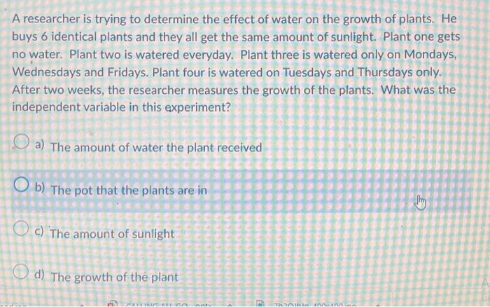Solved A researcher is trying to determine the effect of | Chegg.com