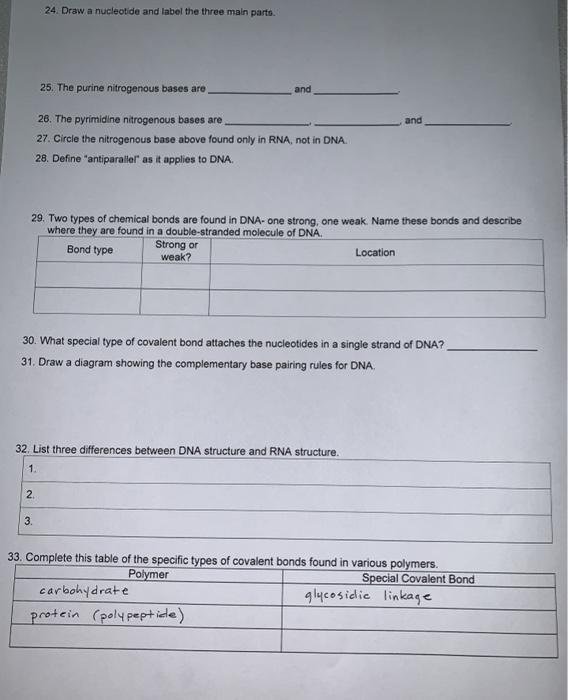 Solved 9. Draw a very simple cartoon of a triglyceride | Chegg.com