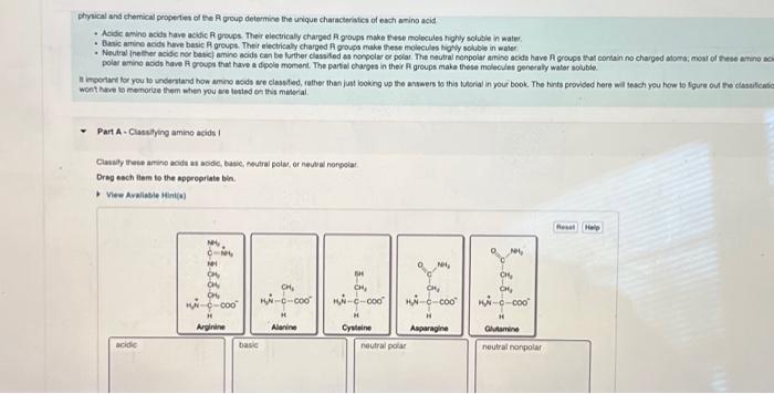 Solved physical and chemical properties of the R group | Chegg.com