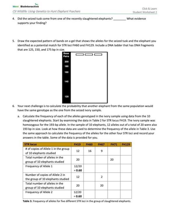 hhmi BioInteractive CSI Wildlife: Using Genetics to | Chegg.com