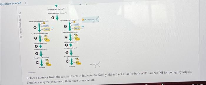 Solved Consider the figure of glycolysis. Select a | Chegg.com