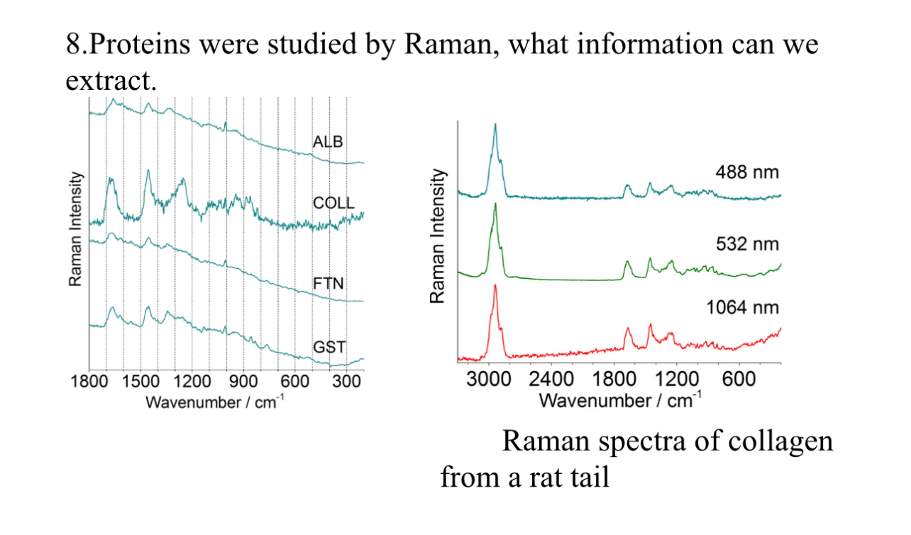 Solved Proteins were studied by Raman, what information can | Chegg.com
