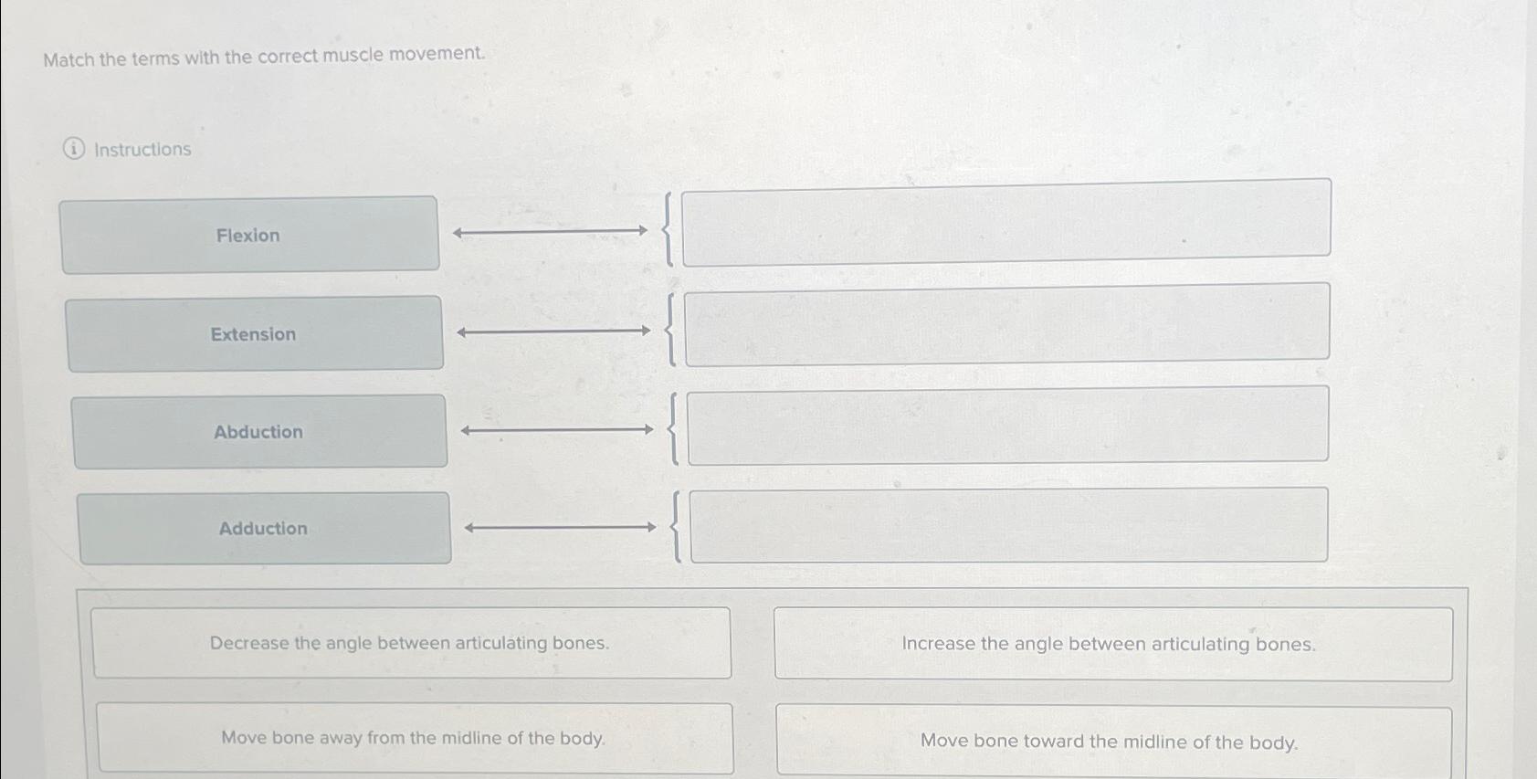 Solved Match the terms with the correct muscle | Chegg.com