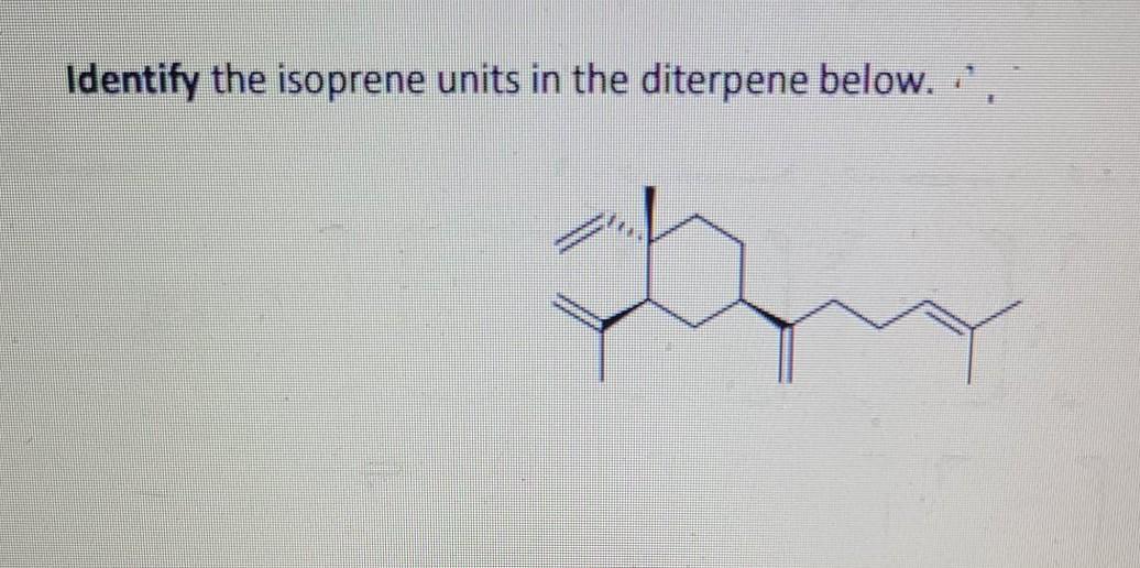 Solved Identify the isoprene units in the diterpene below... | Chegg.com
