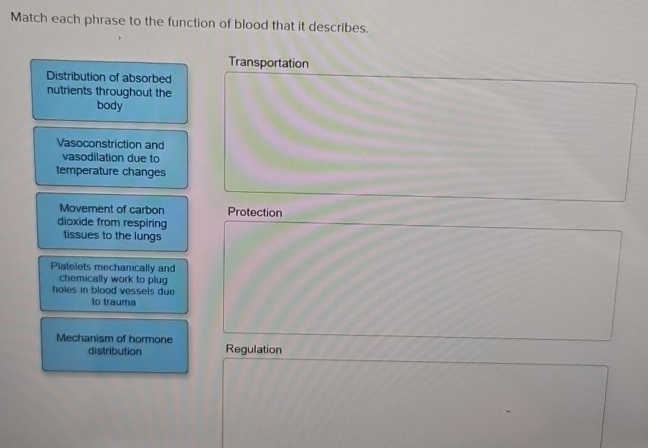 Solved Match each phrase to the function of blood that it | Chegg.com