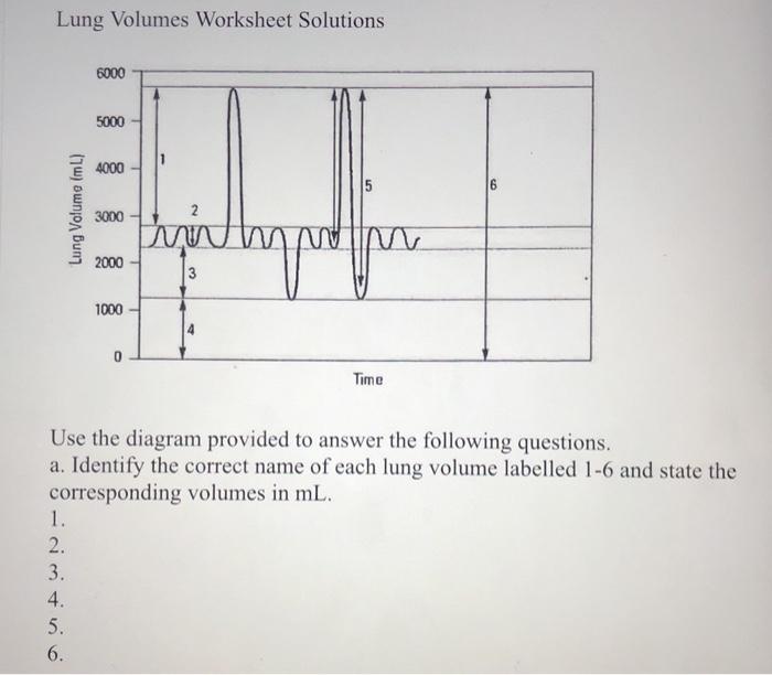 Solved Lung Volumes Worksheet Solutions 6000 5000 4000 15 6 | Chegg.com