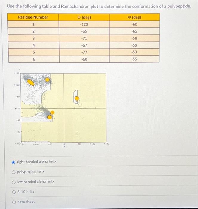 Solved Use the following table and Ramachandran plot to | Chegg.com