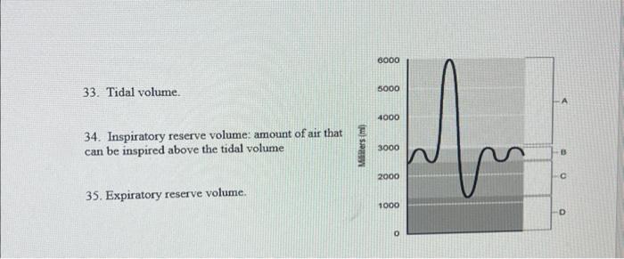 Solved 33. Tidal volume. 34. Inspiratory reserve volume: | Chegg.com