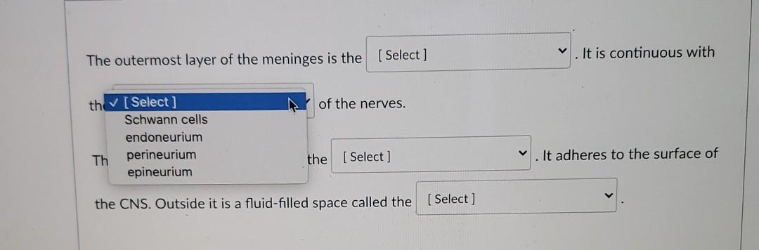 Solved It is continuous with The outermost layer of the | Chegg.com