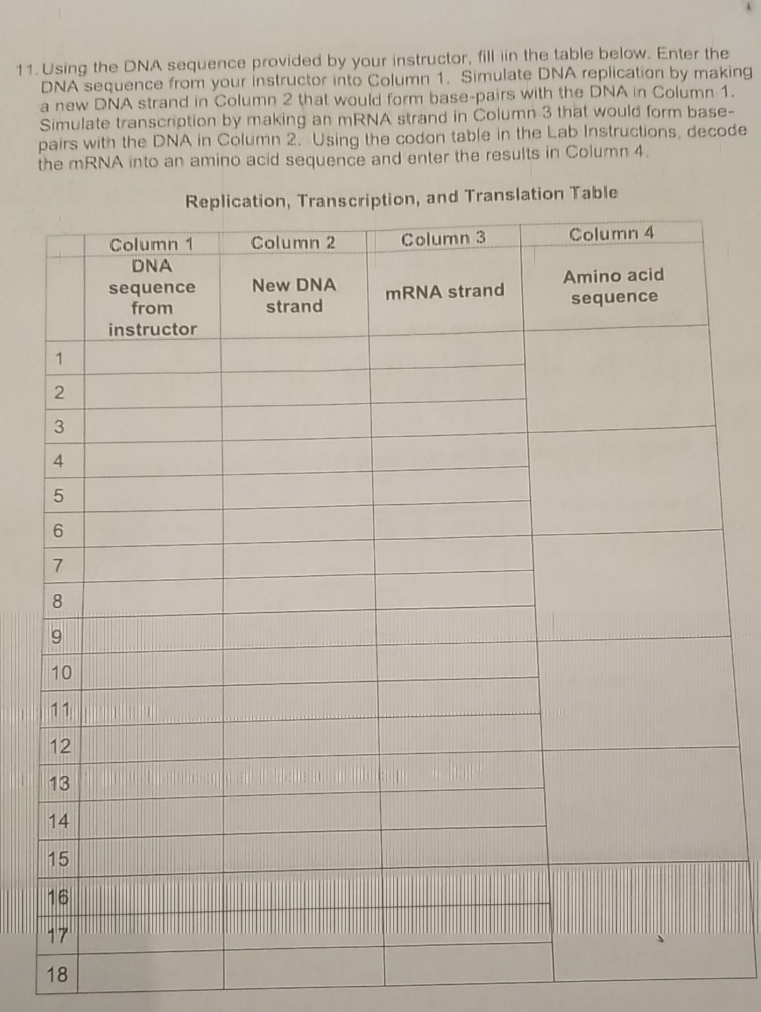 Solved 11. Using the DNA sequence provided by your | Chegg.com