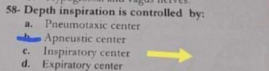 Solved 58- Depth inspiration is controlled by: a. | Chegg.com