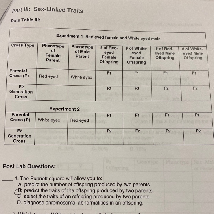 Solved Lab Report: Solving Genetics Problems with Punnett | Chegg.com