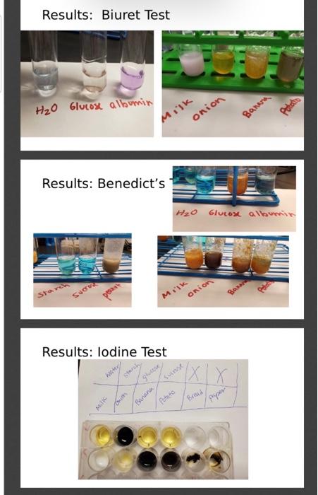 Solved Results: Biuret Test 1 H₂O Glucose albumin Banana | Chegg.com