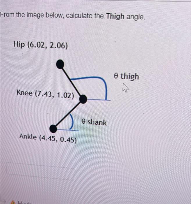 Solved From the image below, calculate the Thigh angle. | Chegg.com