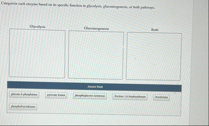 Solved Categorize each enxyme baned on its spocific fanction | Chegg.com