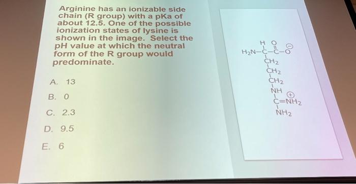 Solved Arginine has an ionizable side chain (R group) with a | Chegg.com