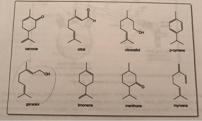 Solved does geraniol structure match my IR spectrum? this | Chegg.com