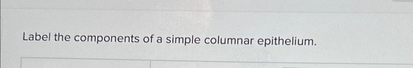 Solved Label the components of a simple columnar epithelium. | Chegg.com