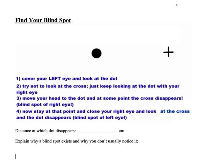 Solved 5 Find Your Blind Spot + 1) cover your LEFT eye and | Chegg.com