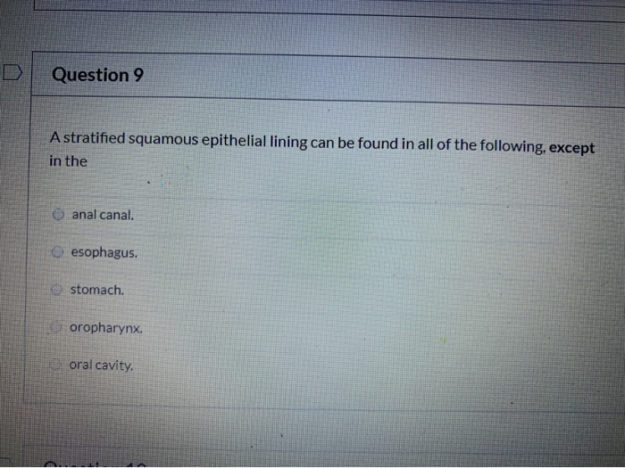 Solved Question 9 A stratified squamous epithelial lining | Chegg.com