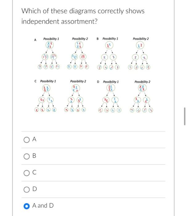 Which of these diagrams correctly shows independent | Chegg.com