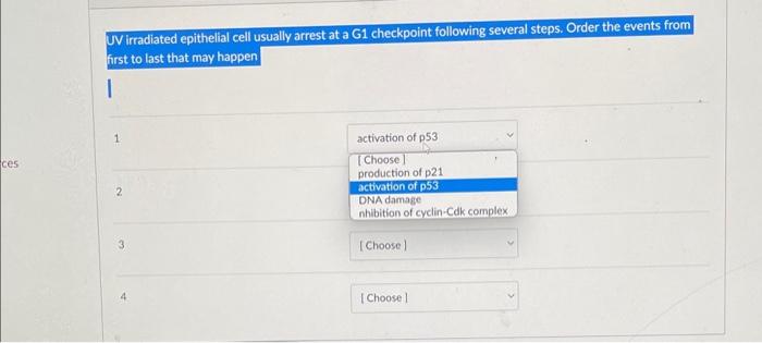 Solved UV irradiated epithelial cell usually arrest at a G1 | Chegg.com