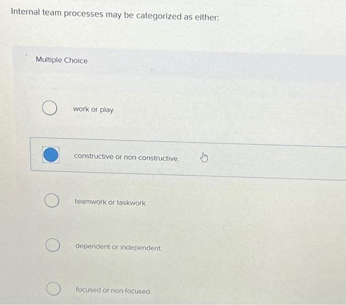 Solved Internal team processes may be categorized as either: | Chegg.com