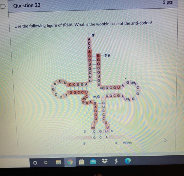 Solved 3 pts Question 23 Use the following figure of tRNA. | Chegg.com Solved 3 pts Question 23 Use the following figure of tRNA. | Chegg.com