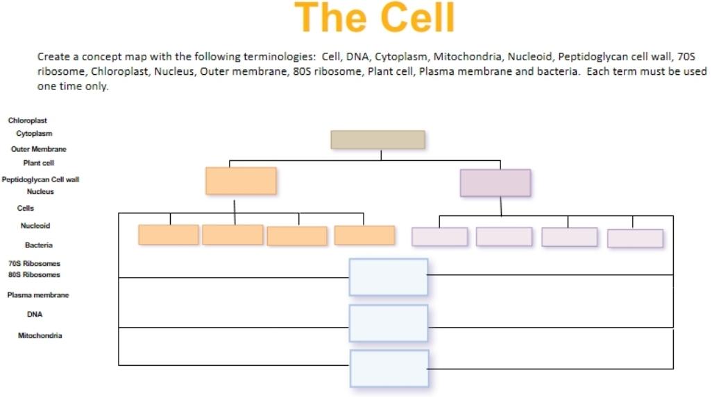 Solved Create a concept map with the following | Chegg.com