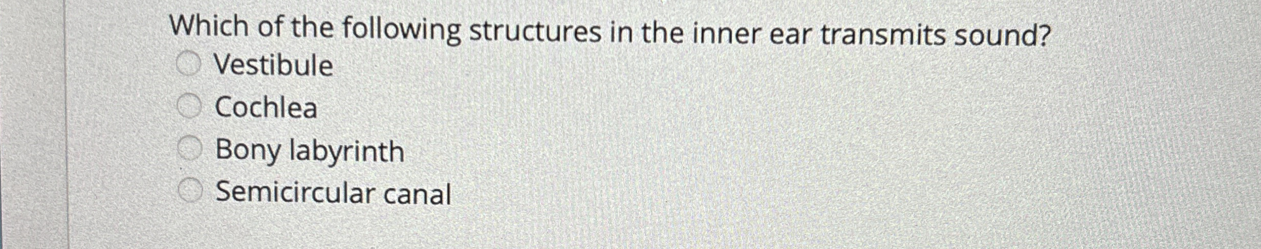 Solved Which of the following structures in the inner ear | Chegg.com