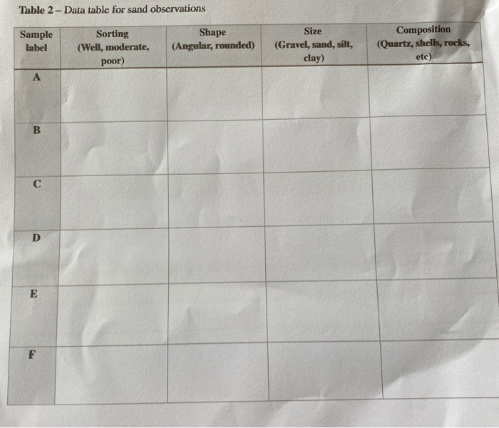 Solved Table 2-Data table for sand observations Sample label | Chegg.com
