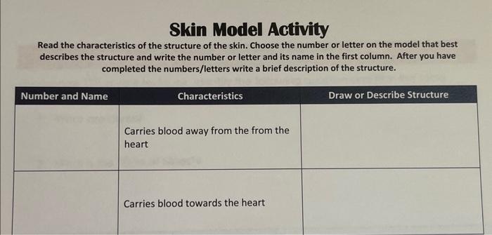 Solved Skin Model Activity Skin Model Activity Read the | Chegg.com