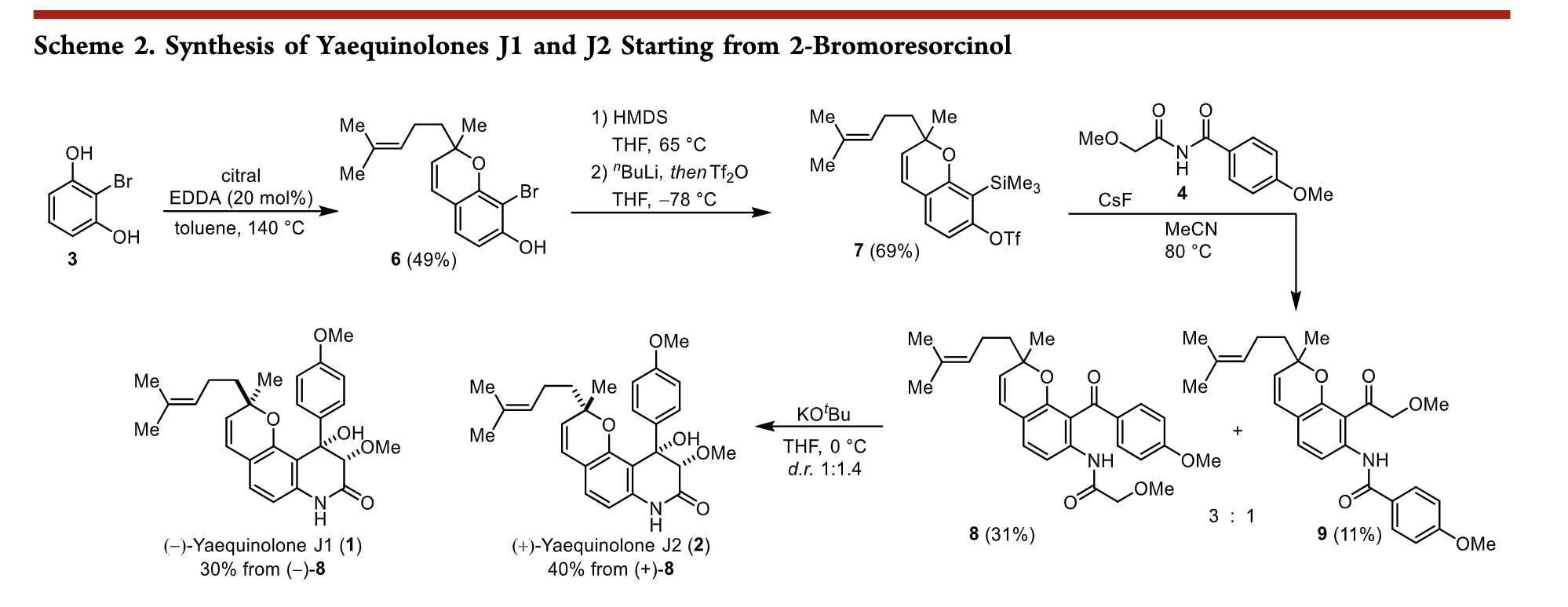 draw a step by ﻿step forward Synthesis of | Chegg.com