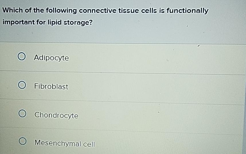 Solved Which of the following connective tissue cells is | Chegg.com