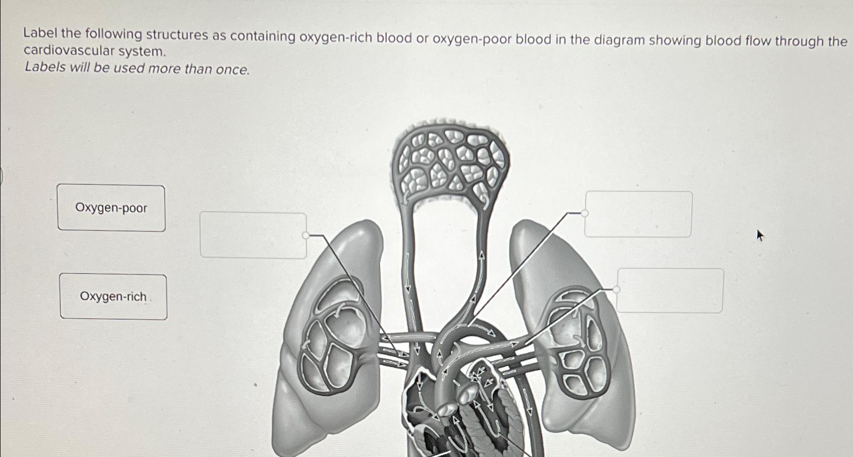 Solved Label the following structures as containing | Chegg.com