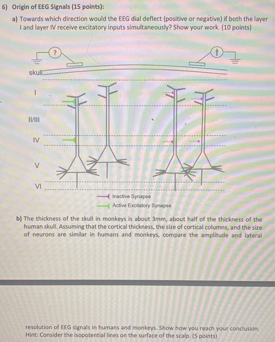 Solved 6) Origin of EEG Signals ( 15 points): a) Towards | Chegg.com