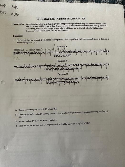 Solved Protein Synthesis A Simulation Activity - GG | Chegg.com