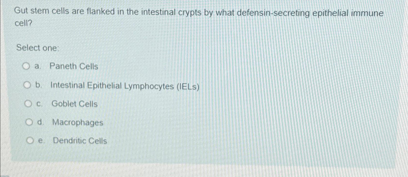 Solved Gut stem cells are flanked in the intestinal crypts | Chegg.com