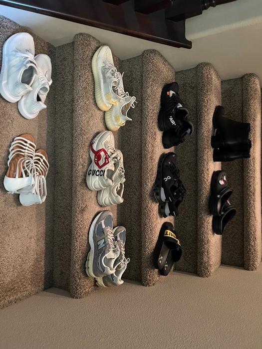 Solved Construct and turn in a dichotomous key/flowchart of | Chegg.com