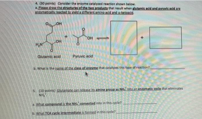 Solved 4. (30 points) Consider the enzyme catalyzed reaction | Chegg.com
