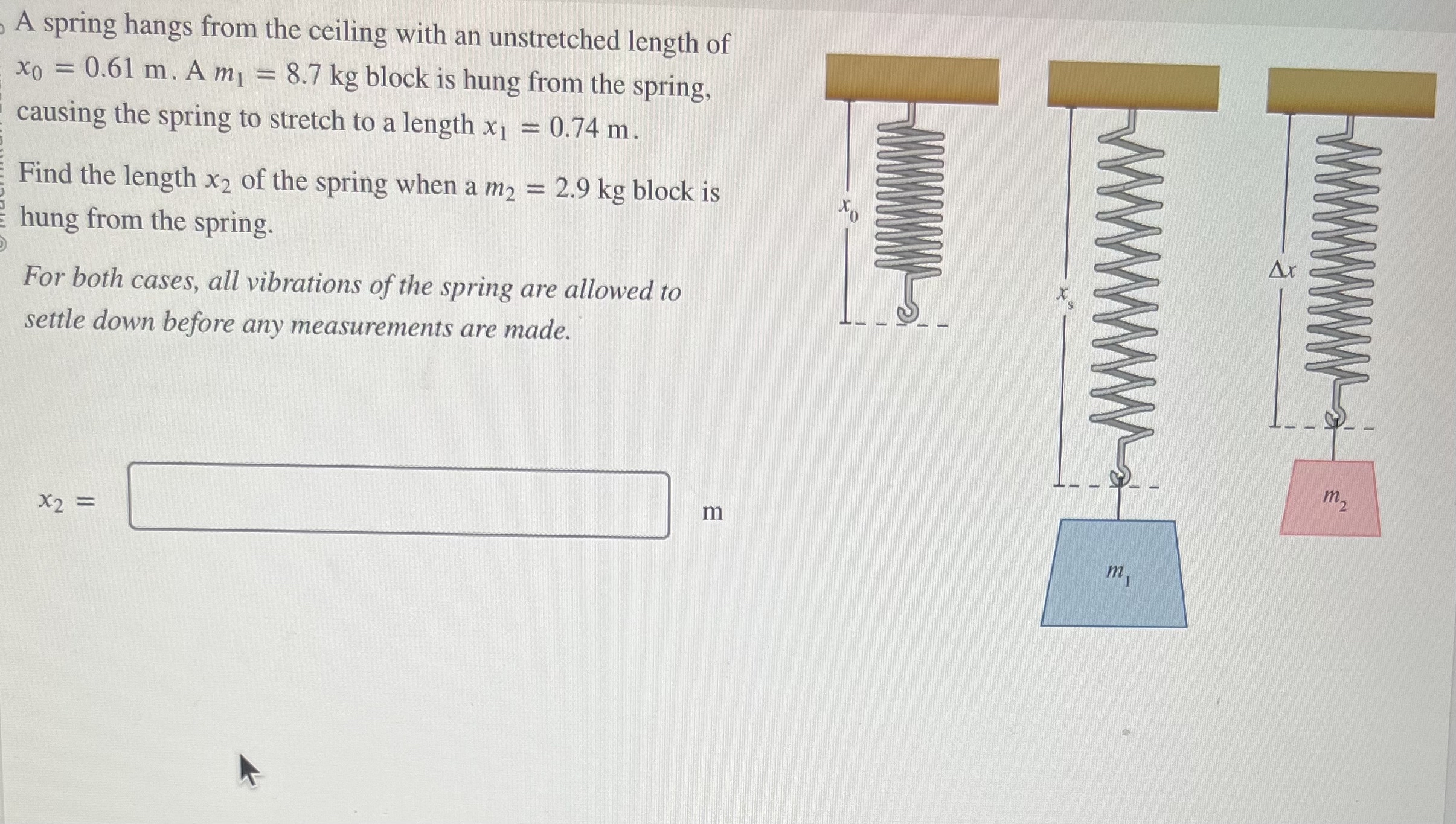 Solved A spring hangs from the ceiling with an unstretched | Chegg.com