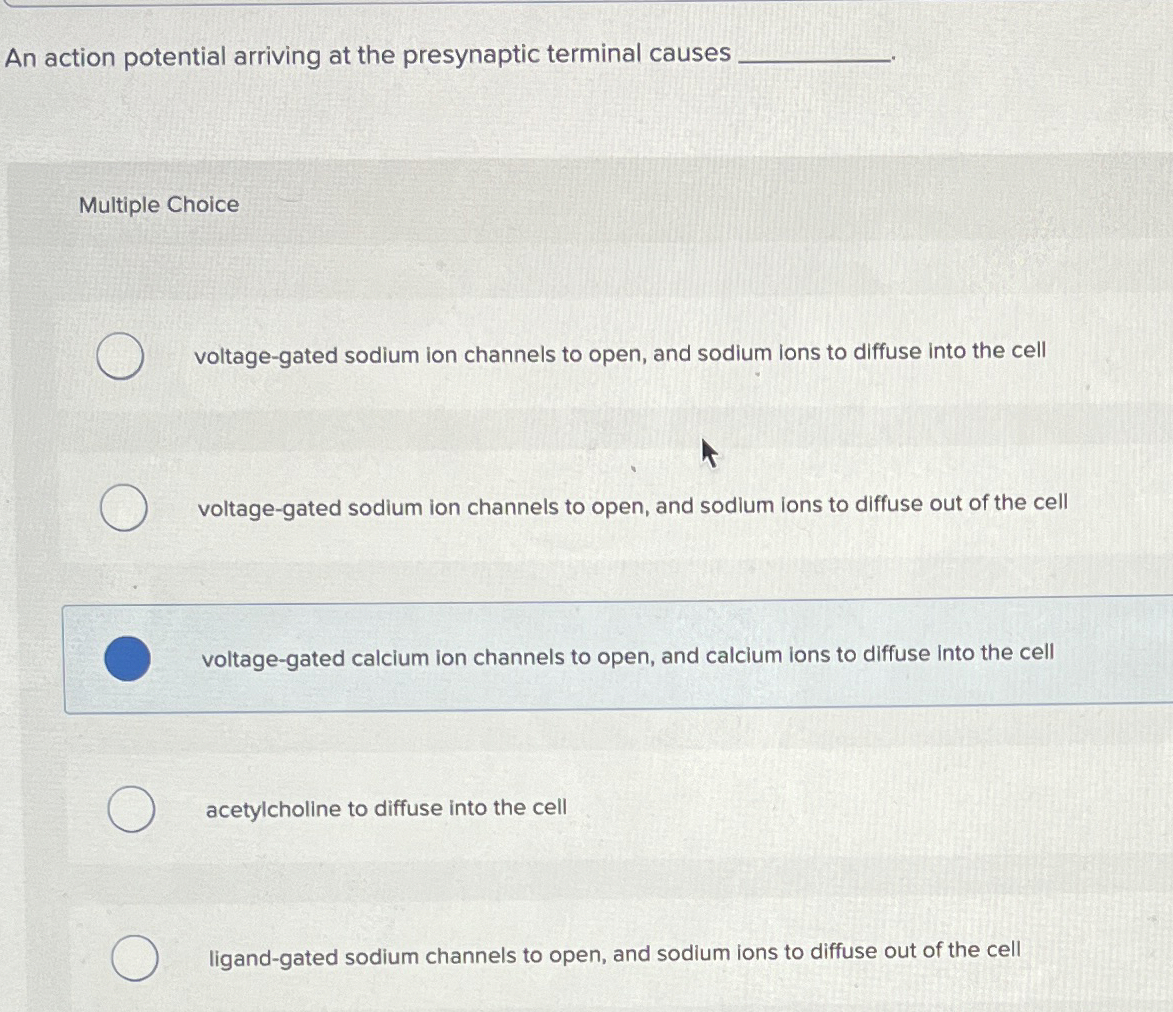 Solved An action potential arriving at the presynaptic | Chegg.com
