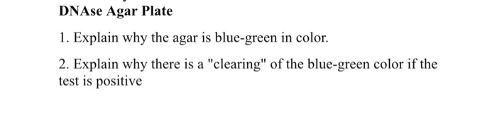 Solved DNAse Agar Plate 1. Explain why the agar is | Chegg.com
