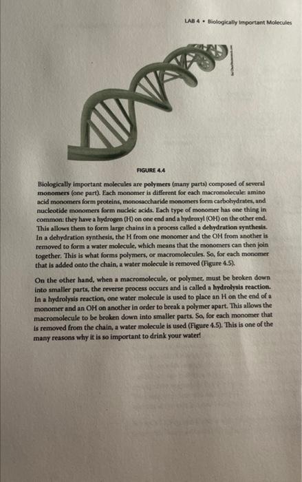 Solved LABORATORY 4 Biologically Important Molecules The | Chegg.com
