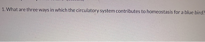 Solved 1. What are three ways in which the circulatory | Chegg.com