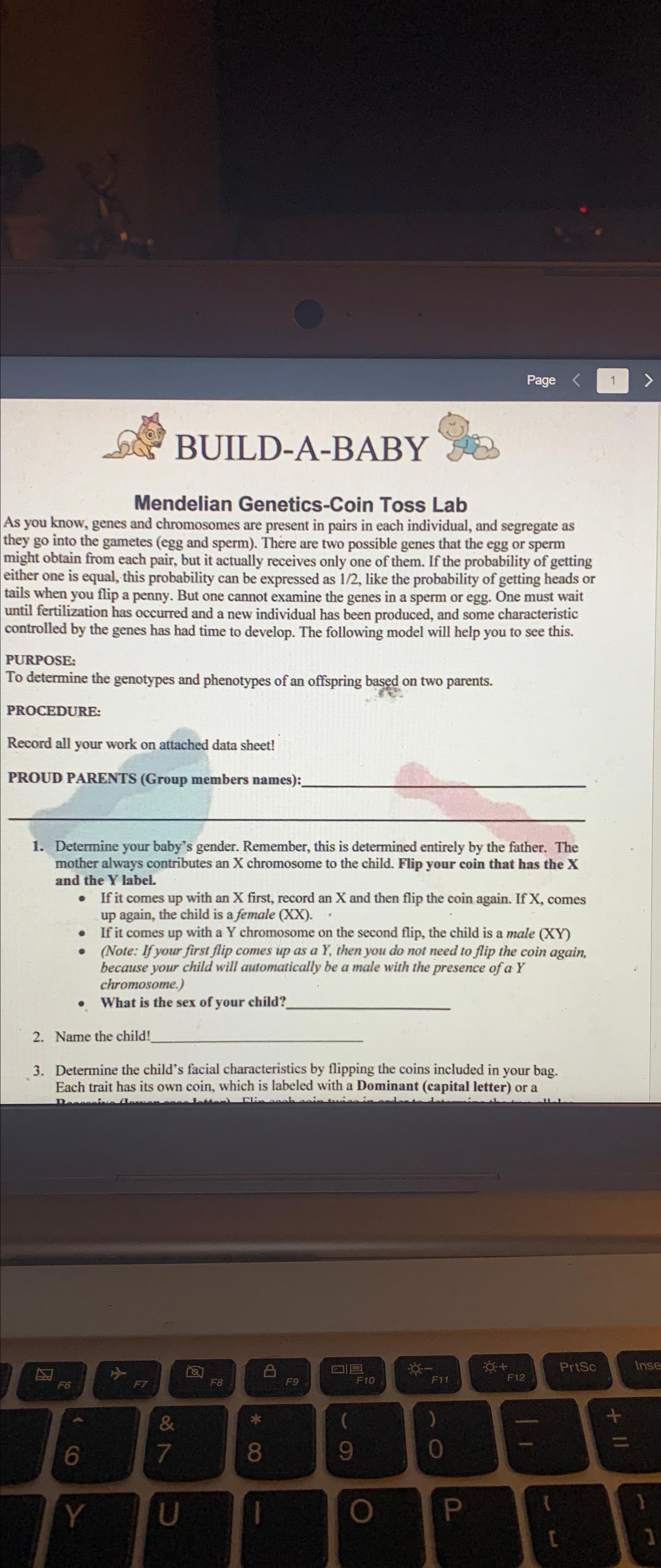 Solved BUILD-A-BABYMendelian Genetics-Coin Toss LabAs you | Chegg.com