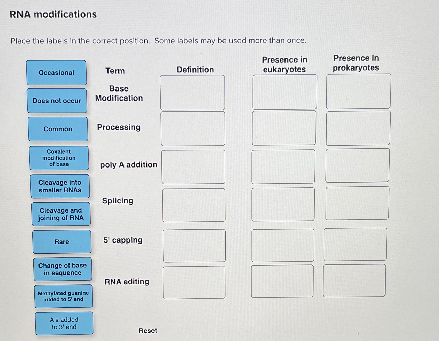 Solved RNA modificationsPlace the labels in the correct | Chegg.com