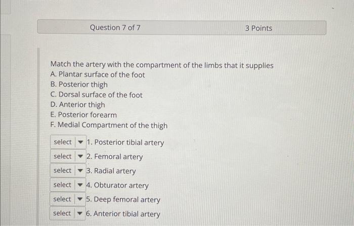 Solved Match the artery with the compartment of the limbs | Chegg.com