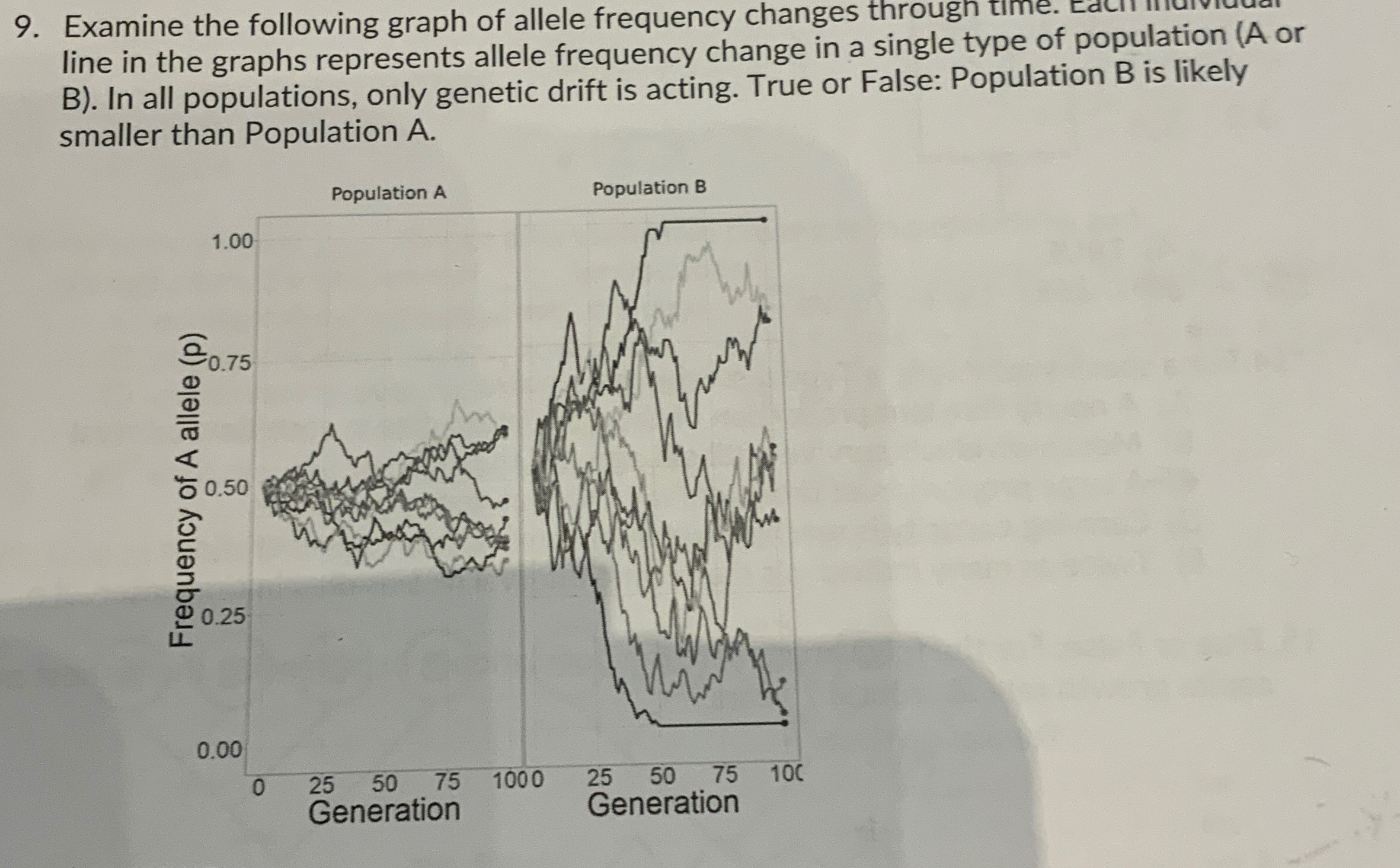 Solved Examine the following graph of allele frequency | Chegg.com